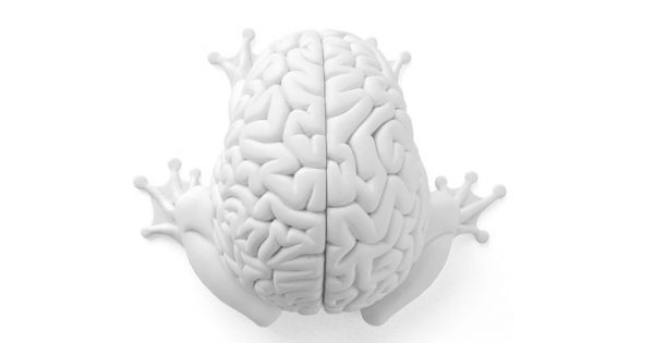 Instincts in the Depths of the Lizard Brain - Brandingmag